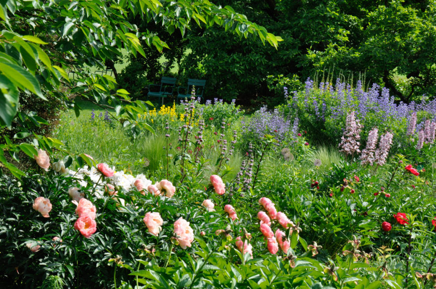 Cassian Schmidt- Landschaftsarchitekt und Professor für Pflanzenverwendung