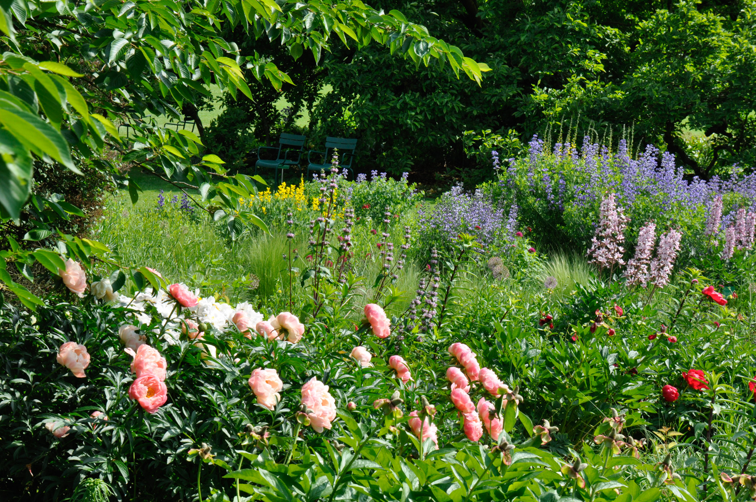 Cassian Schmidt- Landschaftsarchitekt und Professor für Pflanzenverwendung