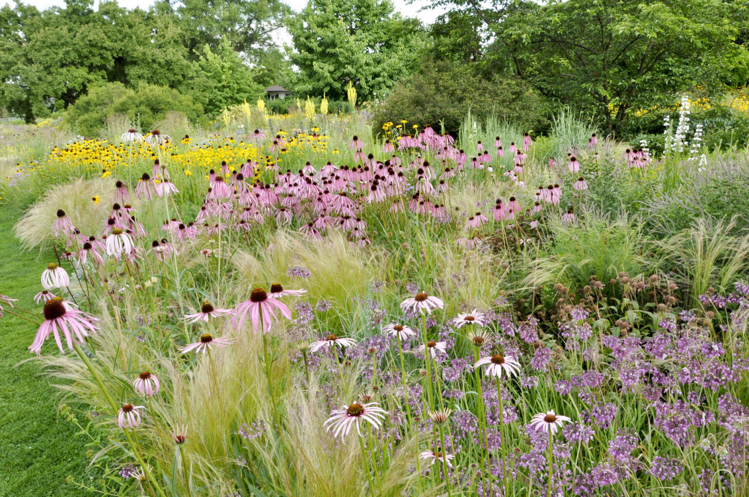 Cassian Schmidt- Landschaftsarchitekt und Professor für Pflanzenverwendung