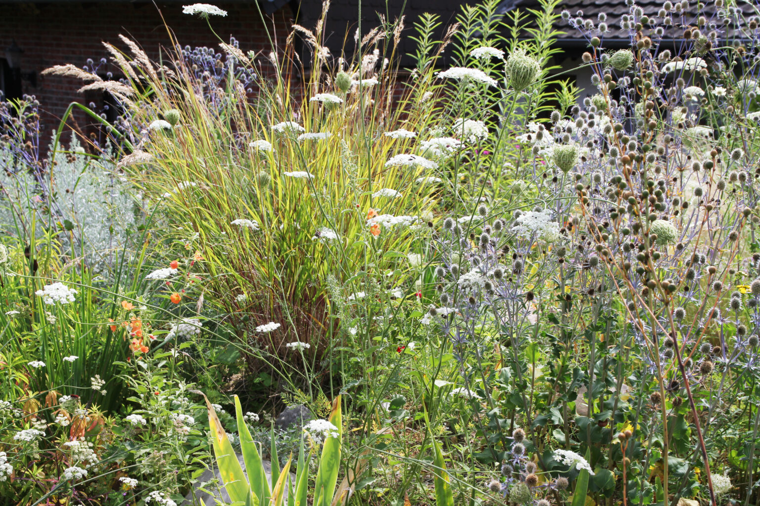 Blackbox Gardening - Vortrag von Dorothea Steffen